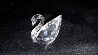 Cigno Swarovski