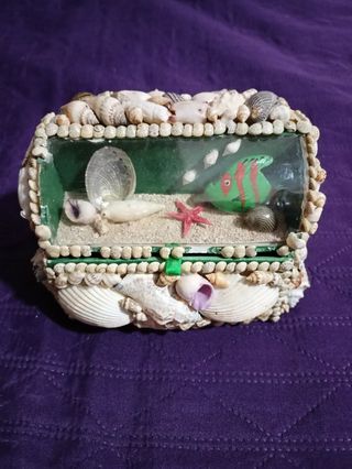 Cofanetto di conchiglie