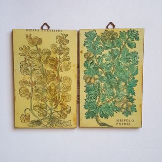 2 quadretti con stampe vetrificate a mano 