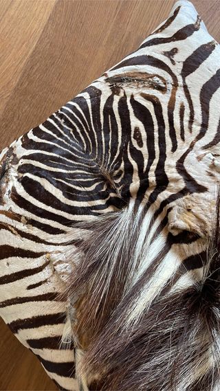 Cuscini in vera zebra