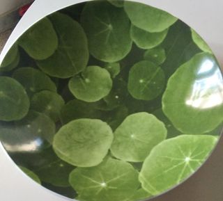 set di piatti Weissestal 