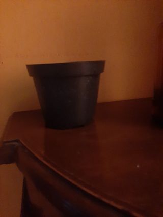 Vasetti per piantine