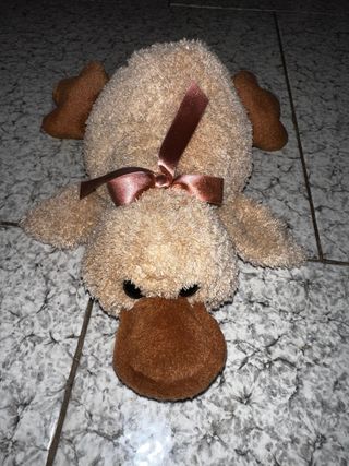 Papera peluche 