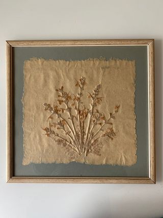 Pregievole quadro floreale degli Antaimoro