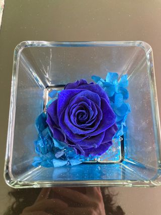 Rosa e ortensie stabilizzate