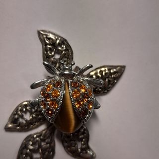 Coccinella vintage