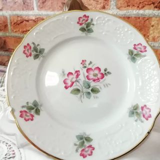 Piatto di porcellana Richard Ginori