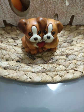 cagnolini innamorati