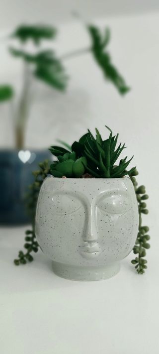 vaso con volto e piante artificiali 