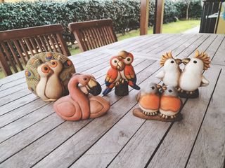 serie coppie uccelli thun