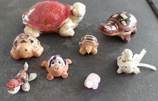 Set (5): 8 pezzi Tartaruga oggettistica d'arredo