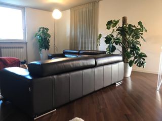 Occasione! Vendo coppia di divani in pelle.