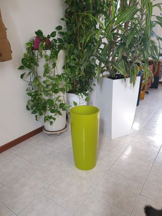 Vaso Fiori Erba mod Musa 25x52