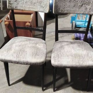 Coppia di sedie  in velluto color grigio