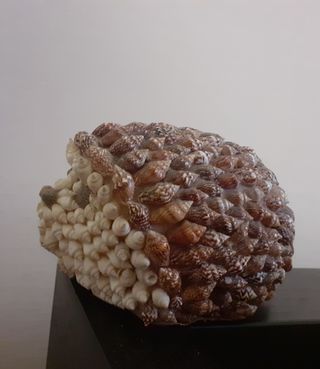 Riccio porcospino fatto con conchiglia