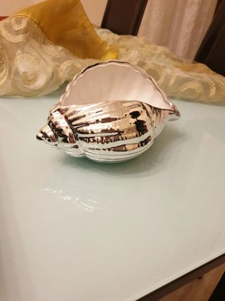 Conchiglia portacaramelle / portaoggetti 