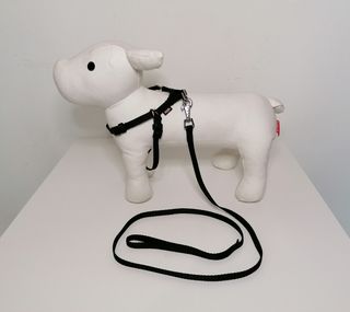 Pettorina + guinzaglio gatto/cane piccola taglia