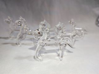 cavalli in vetro di murano