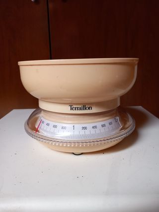 Bilancia pesi alimenti Terraillon