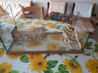 Terrario per tartarughe