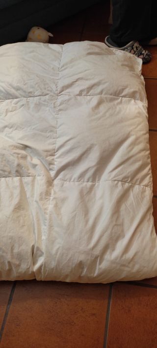 Piumone di piume d'oca per letto singolo  