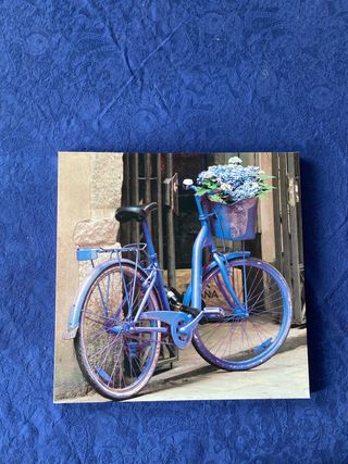 Quadro bicicletta