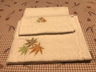 2 asciugamani bagno