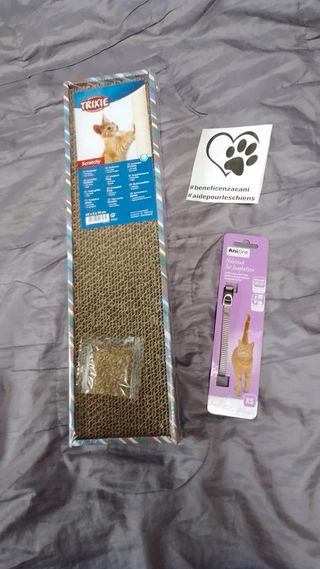 SET GATTO