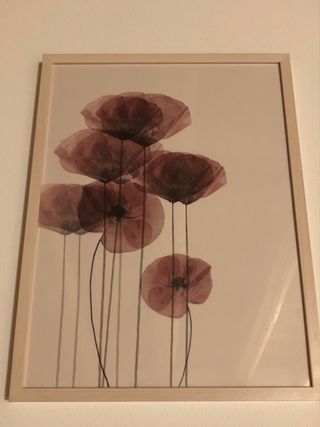 Poppy Bunch Poster Desenio