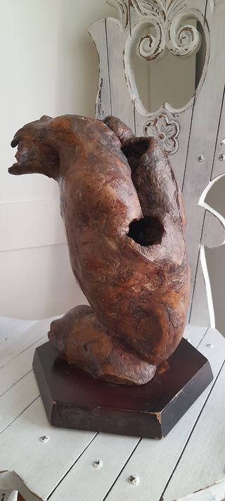 Radice pianta carnivora su supporto in legno