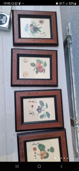 6 quadretti