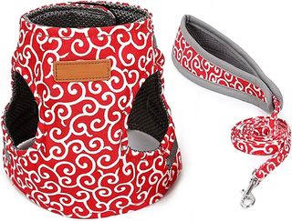  Cinghia pettorale per Gatto Guinzaglio Gatto 