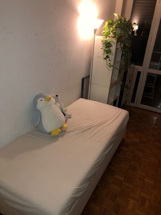 Letto singolo contenitore 