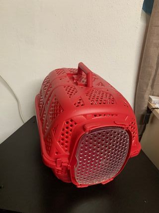 Trasportino per gatti