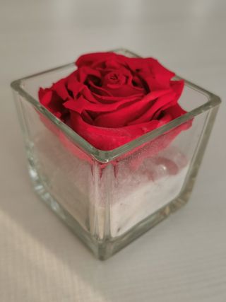 Piccolo vaso in vetro con rosa rossa. 