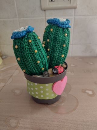 vasetto cactus