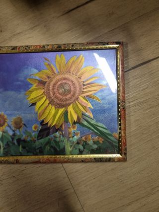 quadretto girasole