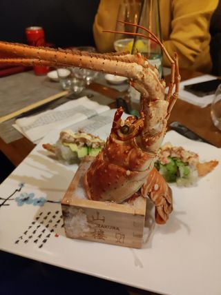 3 scatole sushi giapponesi 