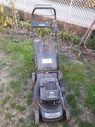Tagliaerba marca Alpina trazionato (con marce)