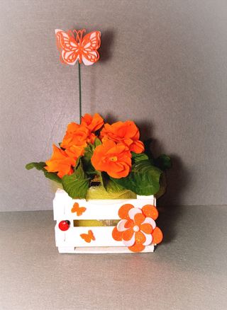 cassettina porta primula 