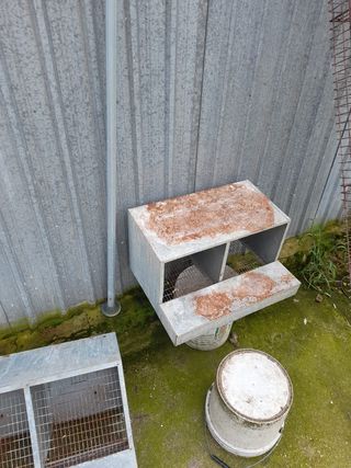 Nidi per galline ovaiole 