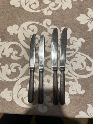 Coltelli in acciaio inox