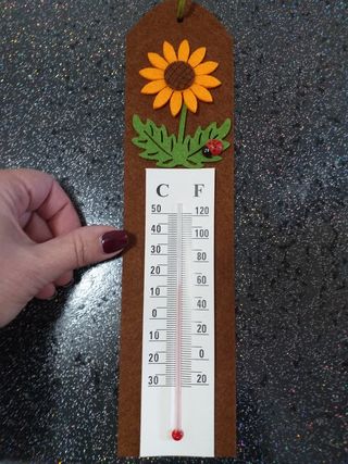 Rilevatore di temperatura in feltro.