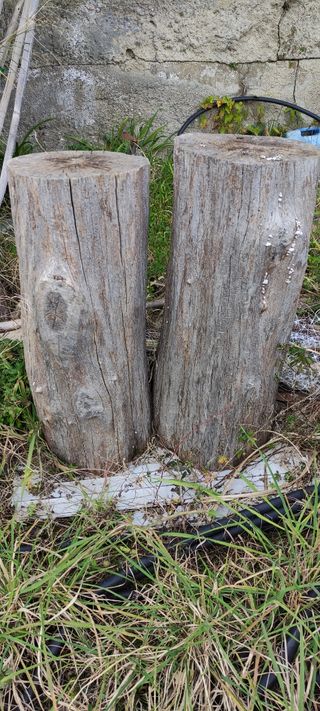 ceppi di legno
