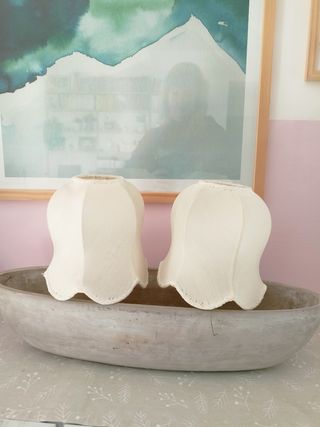 Graziosa coppia di paralumi