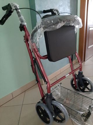 Deambulatore 