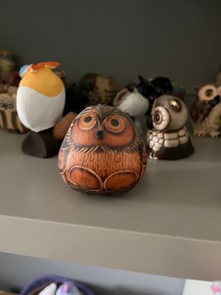 Gufo indecisi
