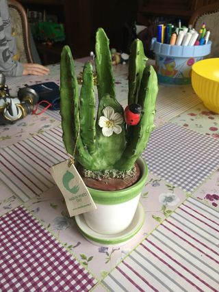 Cactus in ceramica fatto e dipinto a mano