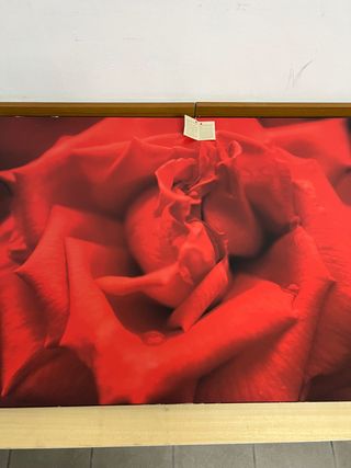 Quadro Rosa rossa in stampa legno