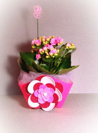 Cestino con kalanchoe 